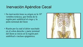 APENDICITIS AGUDA ANATOMÍA, TÉCNICA QUIRÚRGICA.pptx