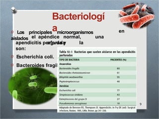 apendicitis aguda y sus fases en la enfermedad del paciente | PPT
