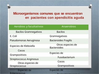 apendicitis aguda y sus fases en la enfermedad del paciente | PPT