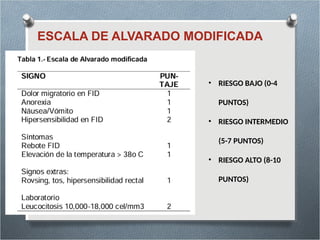 apendicitis aguda y sus fases en la enfermedad del paciente | PPT