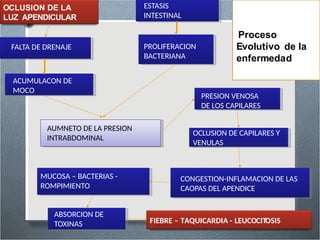apendicitis aguda y sus fases en la enfermedad del paciente | PPT