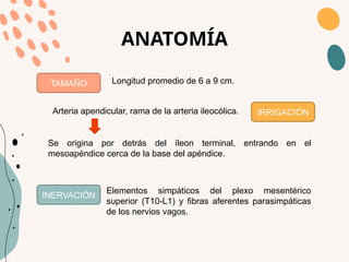 Abordaje de Apendicitis Aguda y diagnóstico.pptx