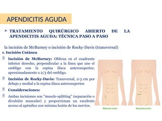 APENDICITIS AGUDA.pptx concepto, etología, fases , fisiopatología | PPTX