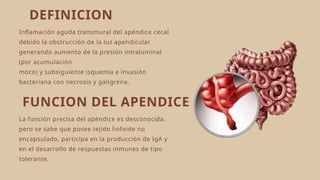 APENDICITIS AGUDA presentacion cirugia.pptx