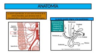 APENDICITIS AGUDA definicion , clasificacion | PPTX
