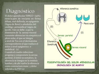 Apendicitis Aguda Prando | PPSX
