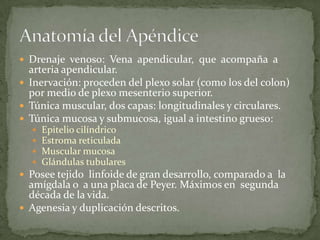 Apendicitis Aguda Prando | PPSX