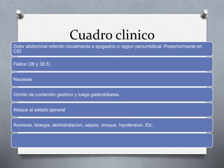 apendicitis aguda 8b.pptx