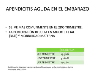 Apendicitis aguda en el embarazo | PPTX
