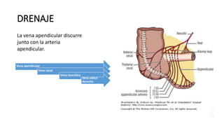 Apendicitis cirugía | PPTX