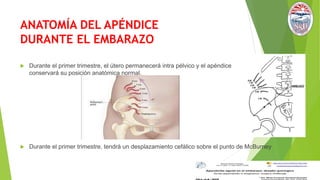 APENDICITIS EMBARAZO-1.pptx