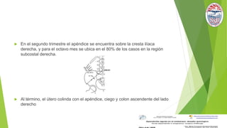 APENDICITIS EMBARAZO-1.pptx