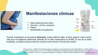 Apendicitis_en_el_embarazo.pptx medicina | PPTX