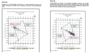 APENDIX OF PETROPHYSICAL WORKFLOW FORMULA | PPTX | Geology | Science