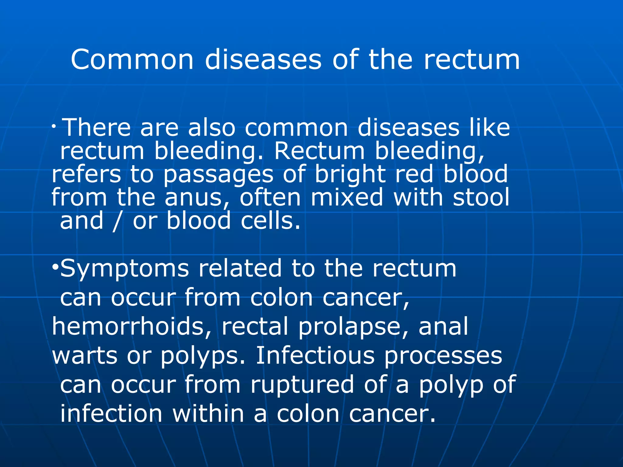 Apendix, Rectum, Anus | PPT