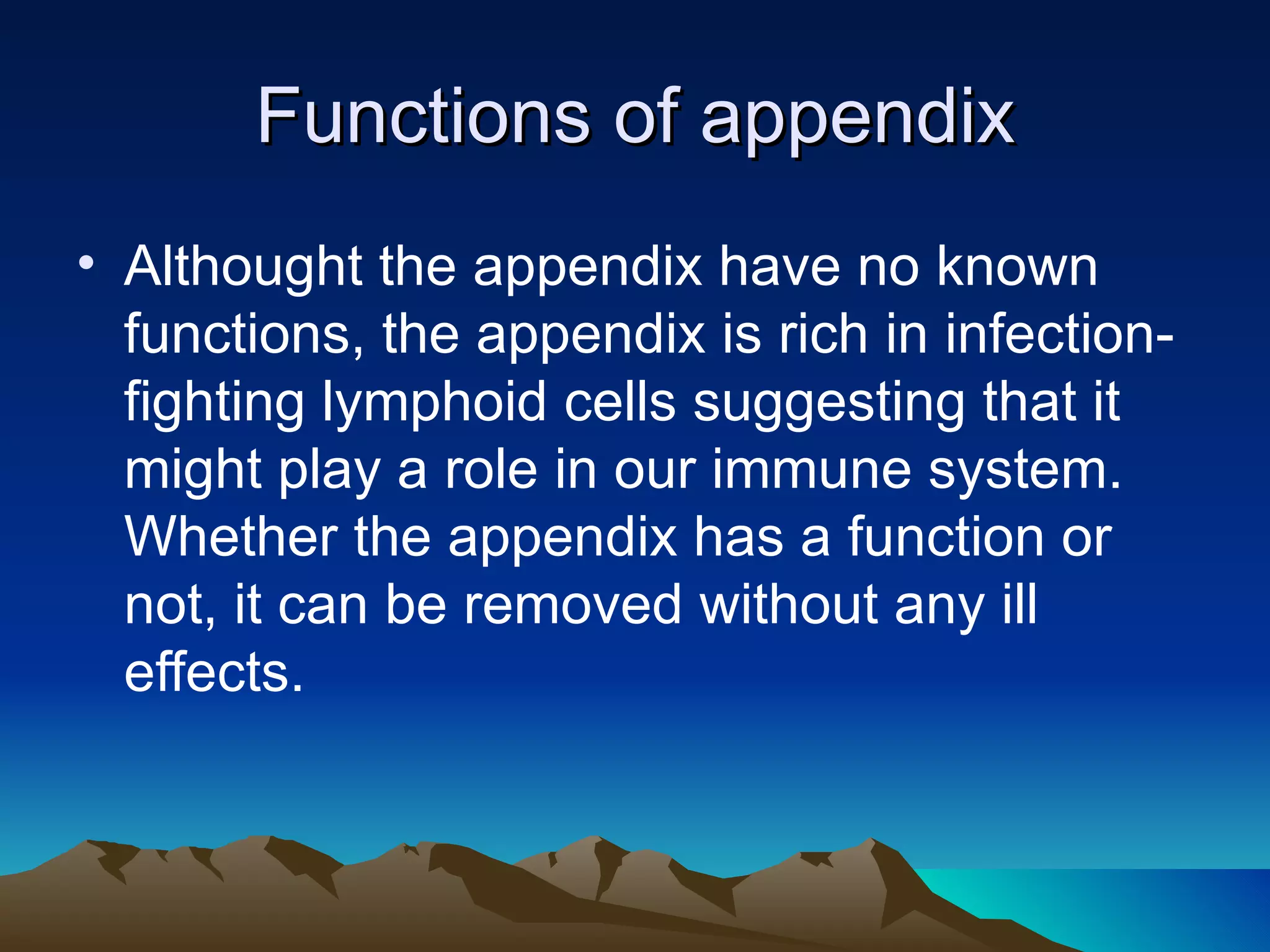 Apendix, Rectum, Anus | PPT