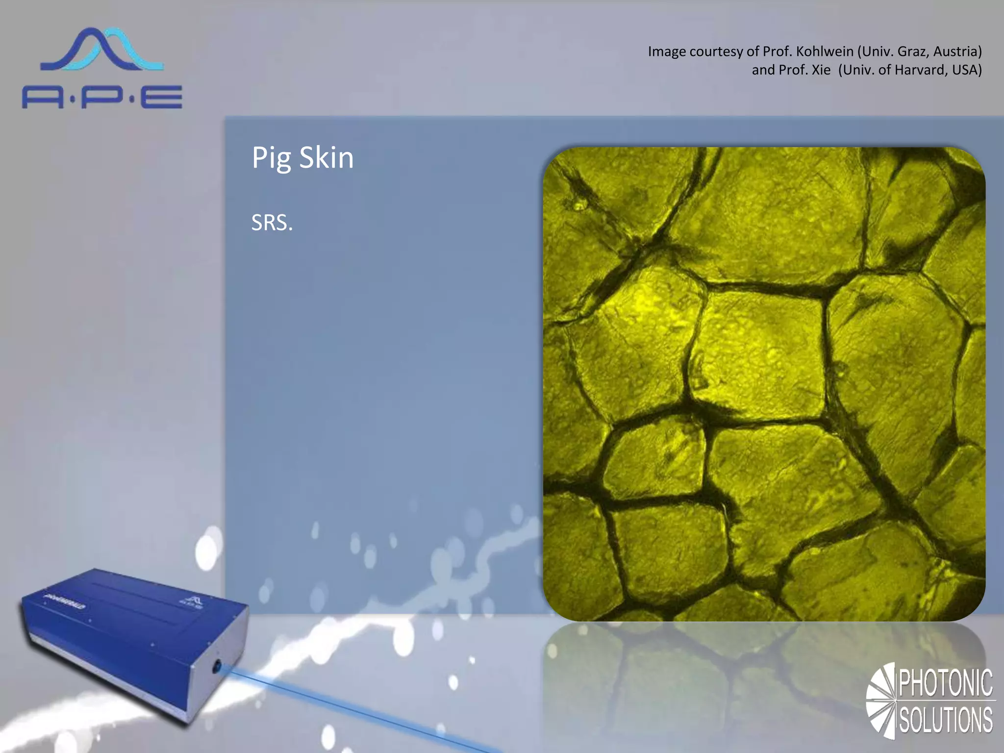 Ape pico emerald | PPSX