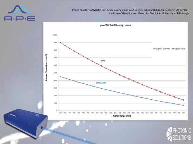 Ape pico emerald | PPT