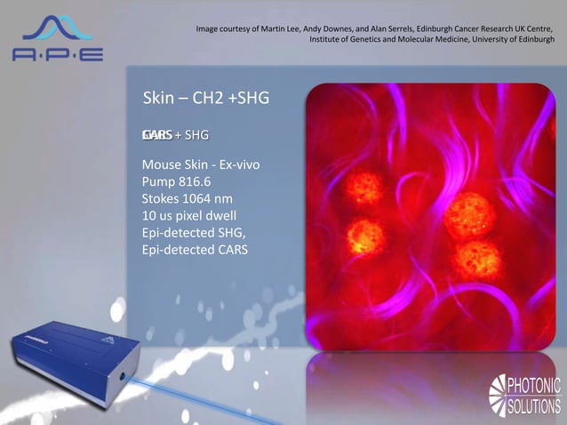 Ape pico emerald | PPT