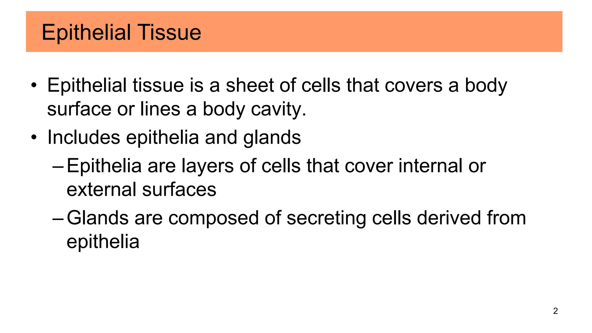 Epithelial Tissue PPT | PPSX