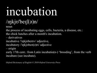 Apereo Incubation Process Overview | PDF