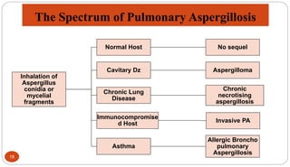 Apergillosis&Histoplasmosis.pptx