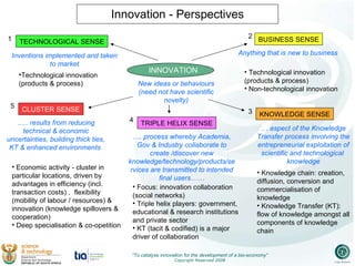 A Perspective On Innovation Fh 2010 Innovation Festival | PPT
