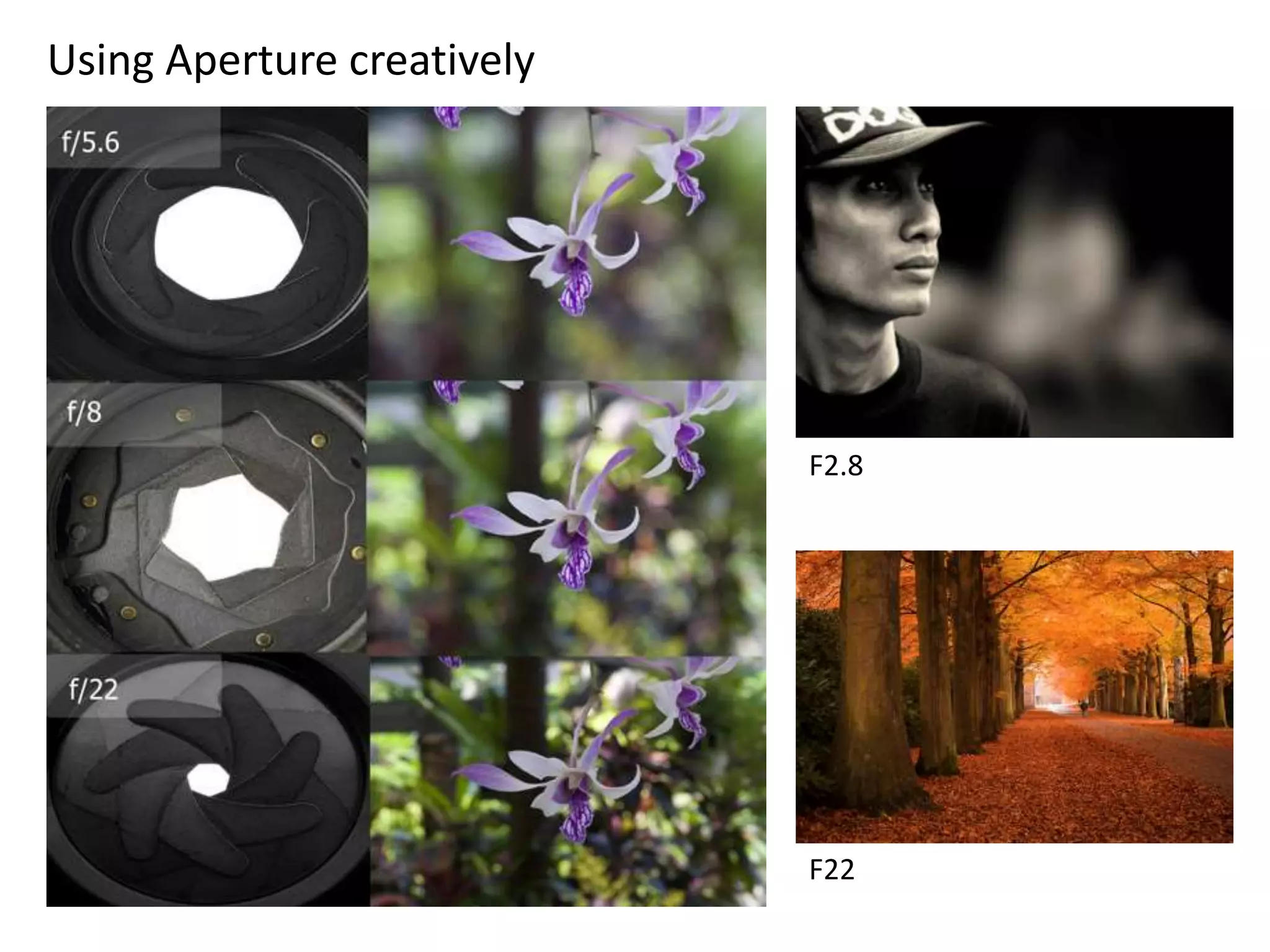 Aperture | PPT