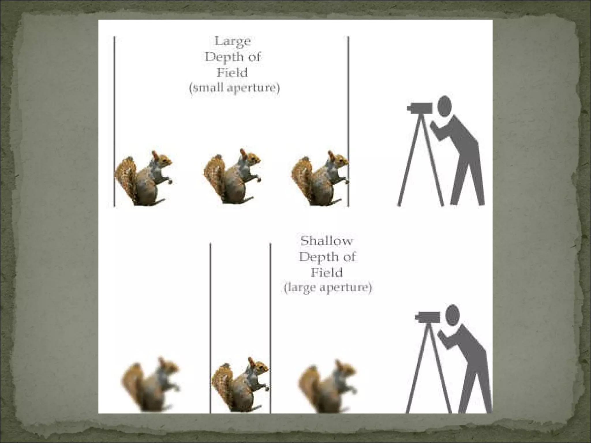 Aperture & Depth Of Field | PPTX