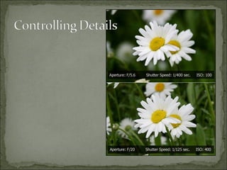 Aperture & Depth Of Field | PPTX