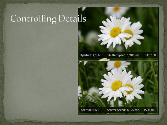 Aperture & Depth Of Field | PPT