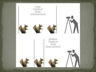 Aperture & Depth Of Field | PPTX