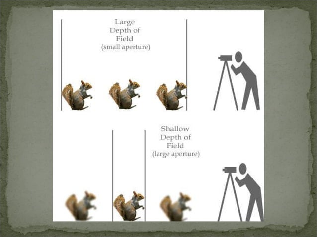 Aperture & Depth Of Field | PPT