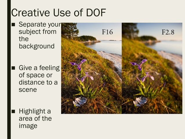 Aperture, exposure and depth of field | PPT
