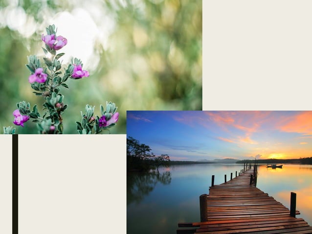 Aperture, exposure and depth of field | PPT
