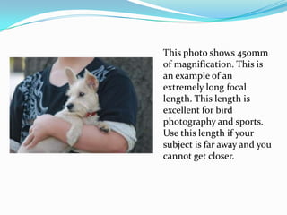 Aperture, zoom and focal length | PPTX | Photography | Arts and Crafts