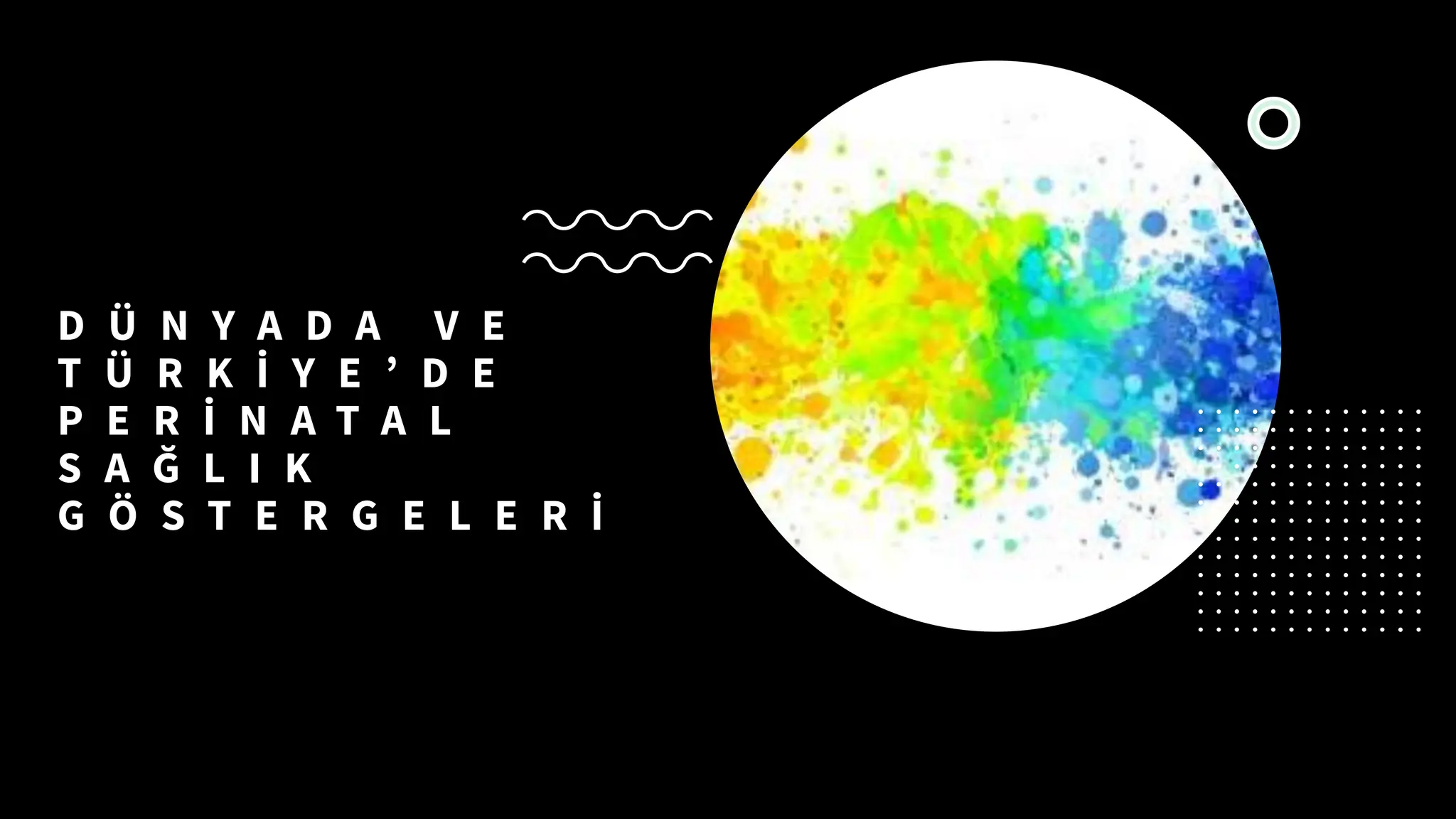 perinatal health indicators in the world.pdf