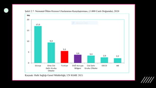 perinatal health indicators in the world.pdf