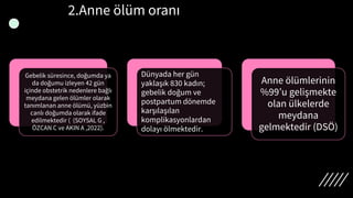 perinatal health indicators in the world.pdf