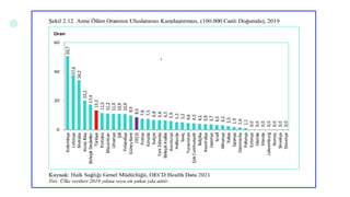 perinatal health indicators in the world.pdf