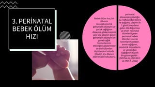 perinatal health indicators in the world.pdf