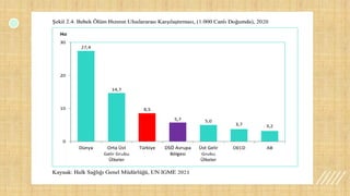 perinatal health indicators in the world.pdf
