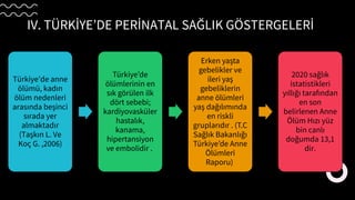 perinatal health indicators in the world.pdf