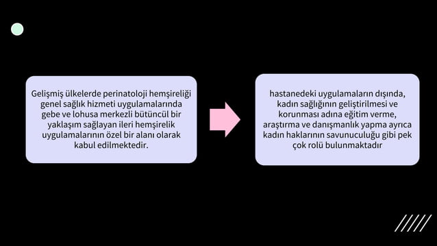 perinatal health indicators in the world.pdf