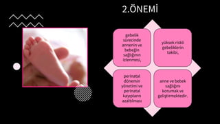 perinatal health indicators in the world.pdf