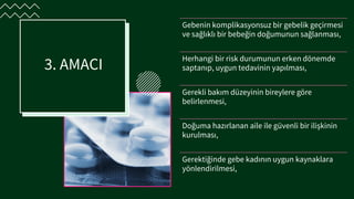 perinatal health indicators in the world.pdf