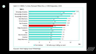 perinatal health indicators in the world.pdf