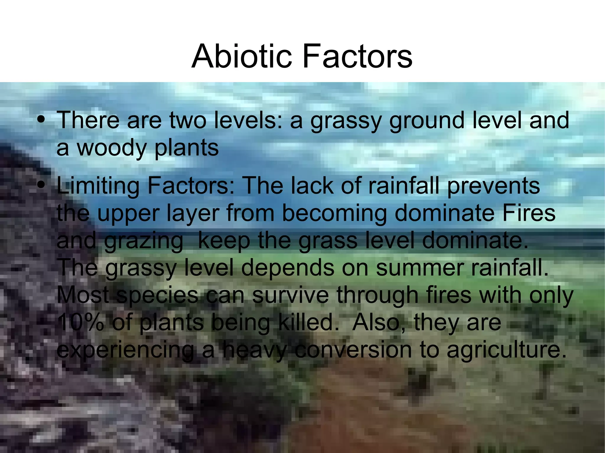 Apes Biomes Power Point | ODP