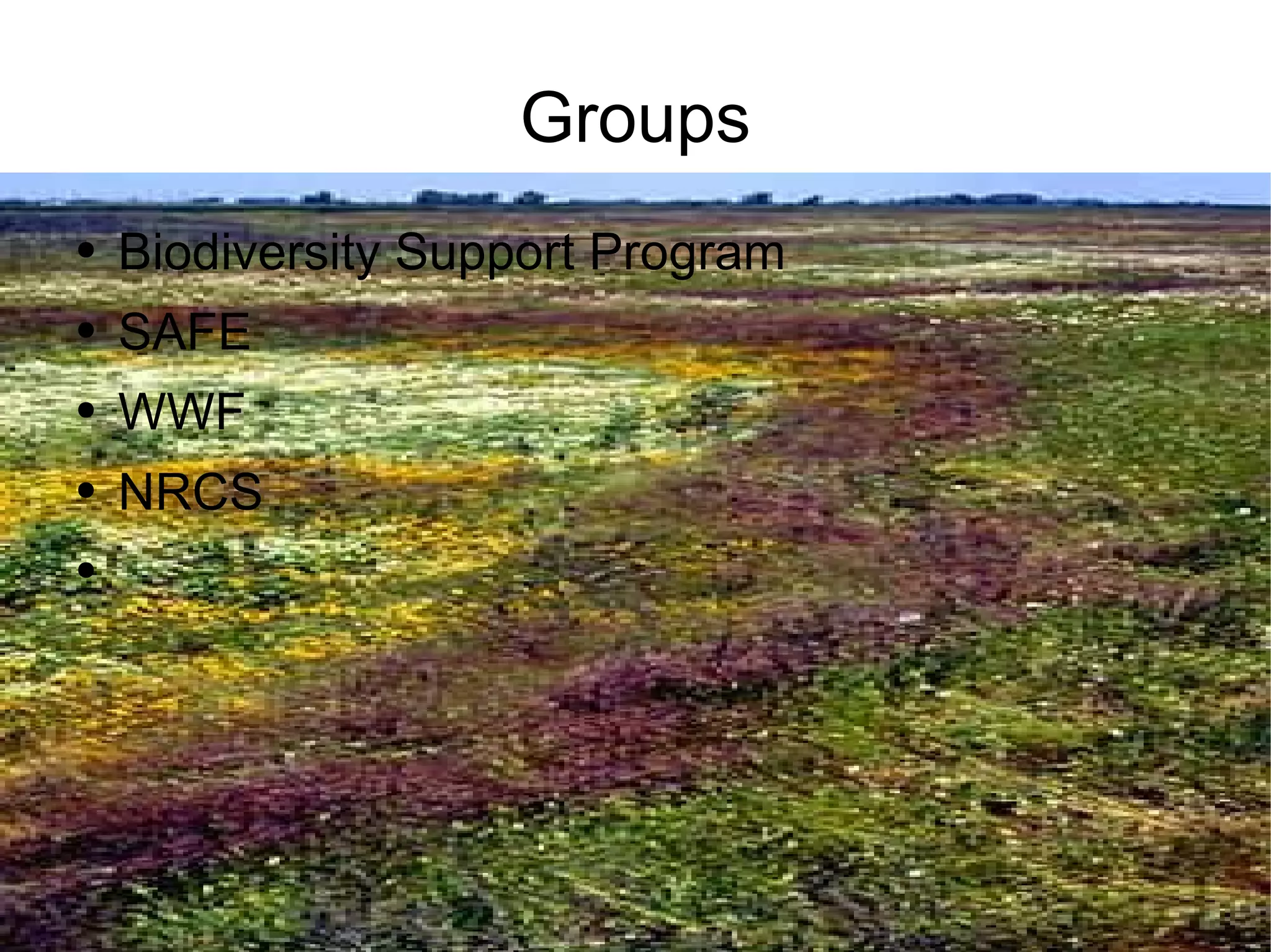 Apes Biomes Power Point | ODP