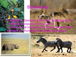 Apes Biomes Power Point | ODP